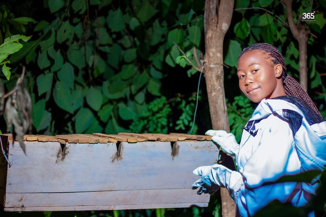 Bee keeping transforms young graduate entrepreneur – ProjectM